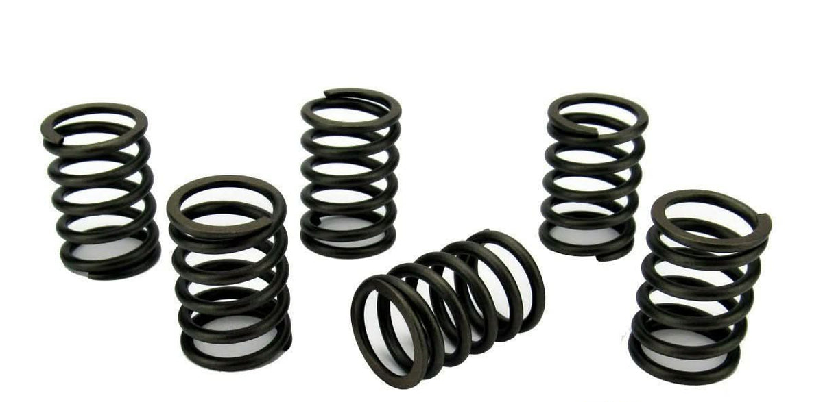 Volvo Penta D1-20 Valve Spring Set - Quick Dispatch
