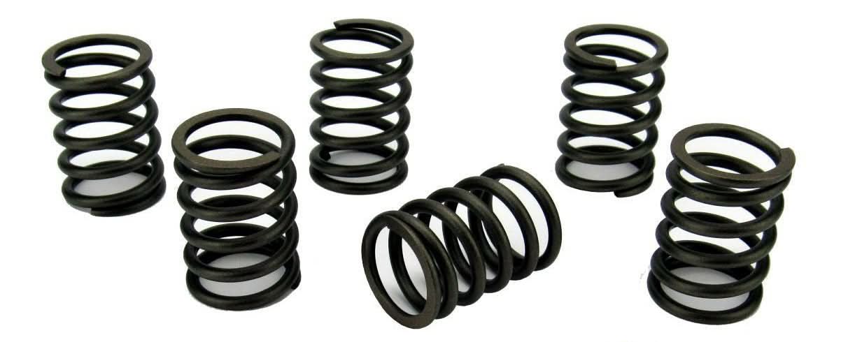 Perkins Perama M30 Valve Spring Set - Quick Delivery