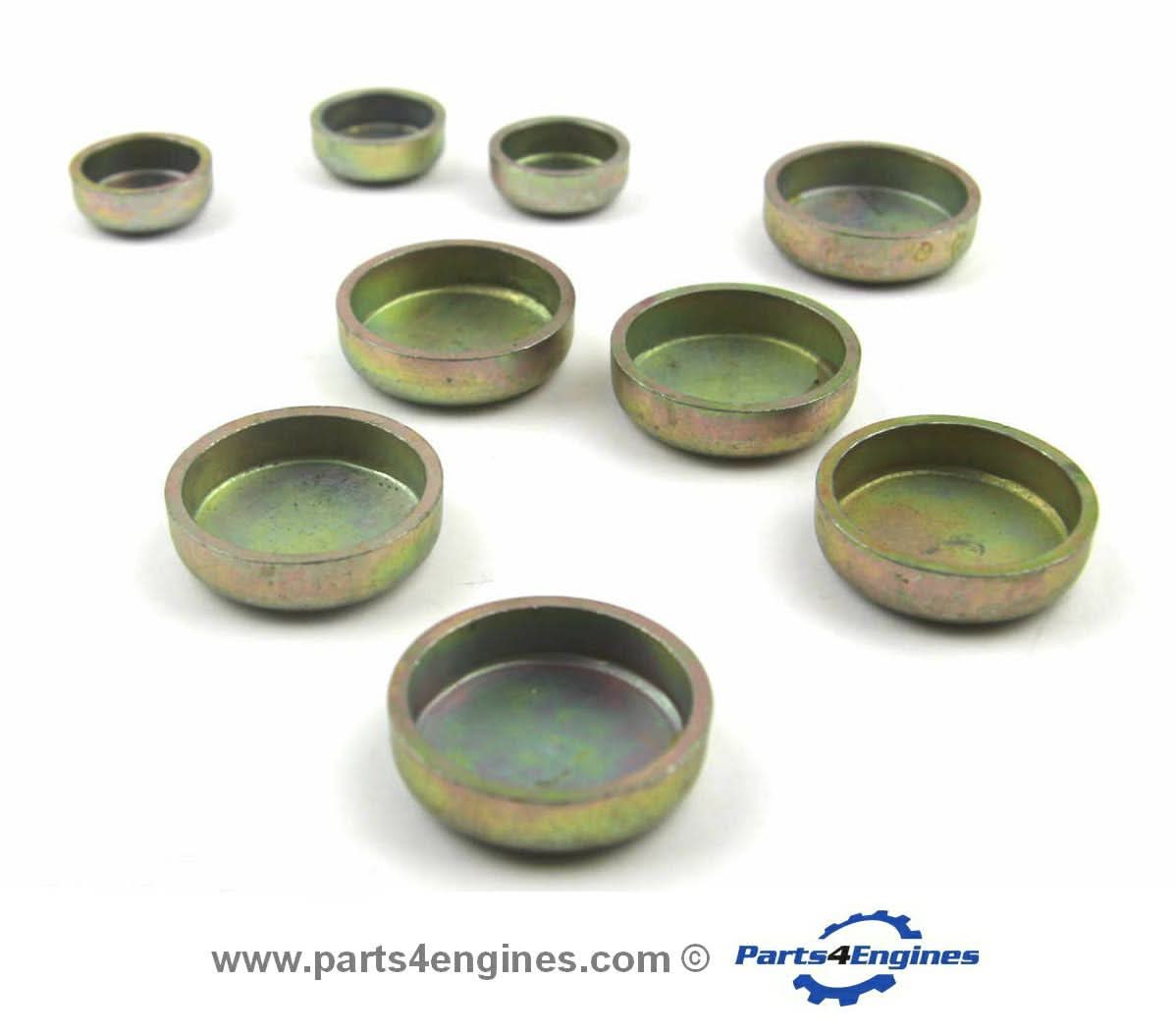 Perkins 4.99 Core Plug Set | Parts4Engines