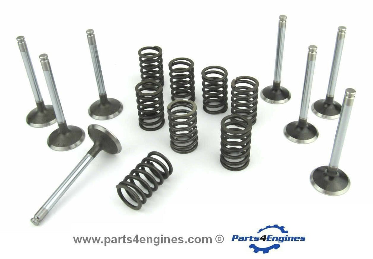 Perkins Prima M50 Valve & Spring Set - Ready to Dispatch